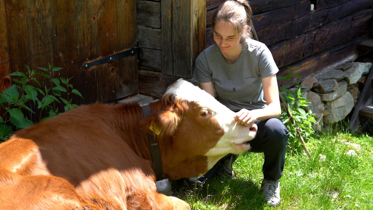 Respecting Farm Animals - Peer.tv