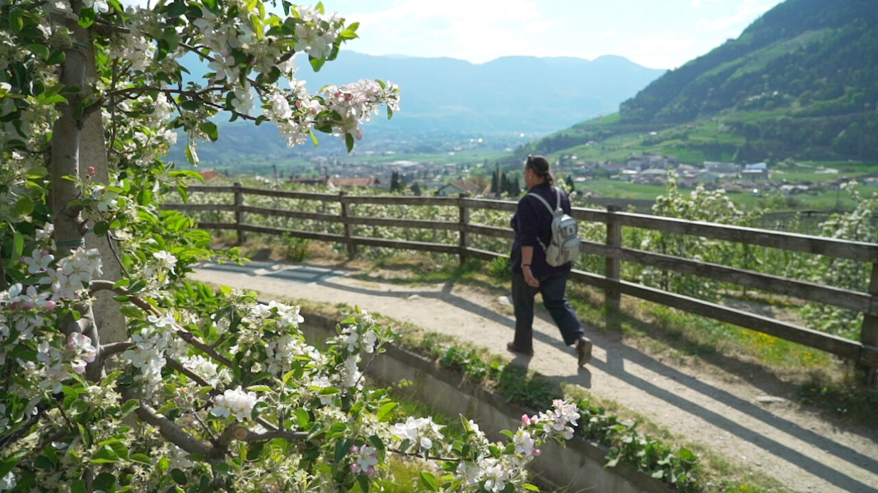 Spring in Lagundo - Peer.tv