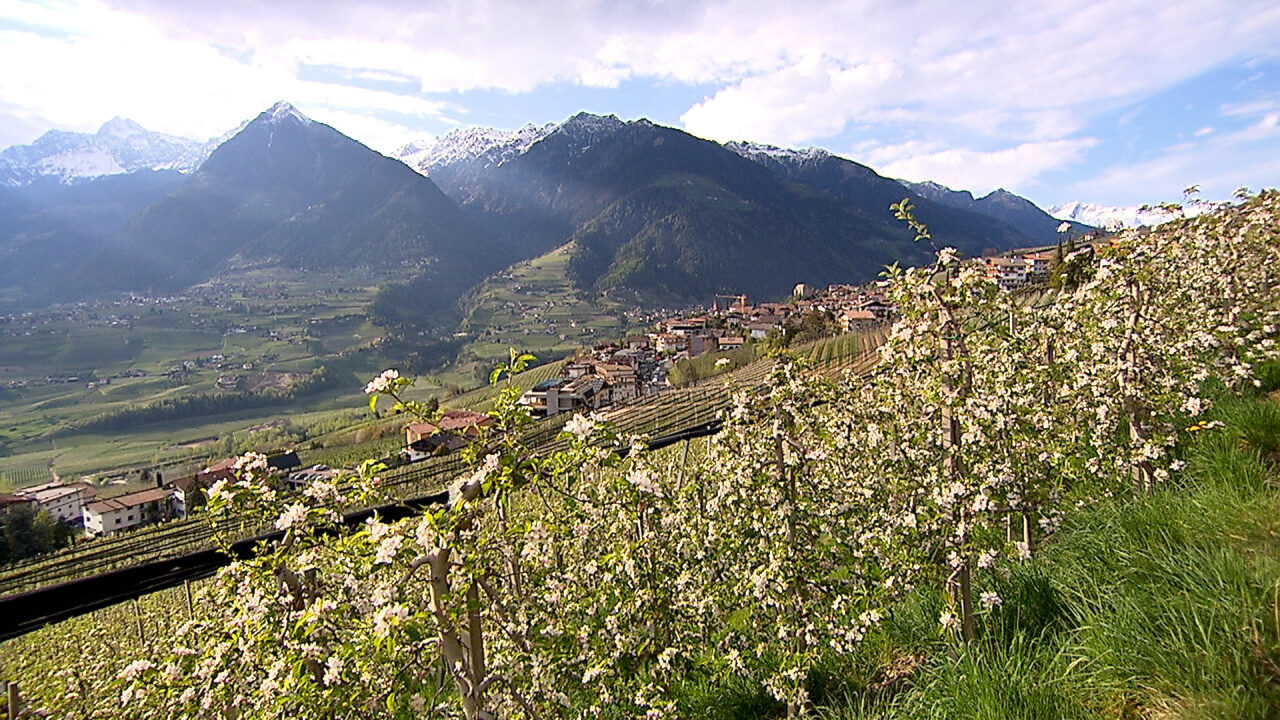 Spring in South Tyrol - Peer.tv