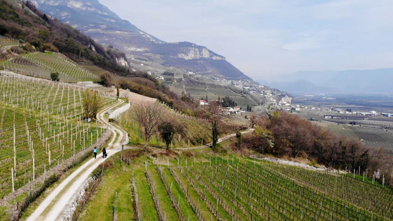 Spring Trip in Magrè - Peer.tv